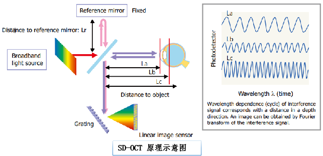 一文看懂OCT成像系统的技术原理(纯干货，纯重点） - 知乎
