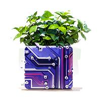 IQtree2操作命令 - 知乎