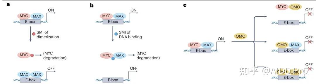 Nature reviews | MYC 在癌症中的作用：从难以药物靶向的目标到临床试验 - 知乎