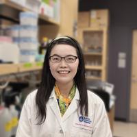 Adv. Sci 最新发现：NNMT-DNMT1调控肿瘤细胞线粒体抑制剂敏感性 - 知乎