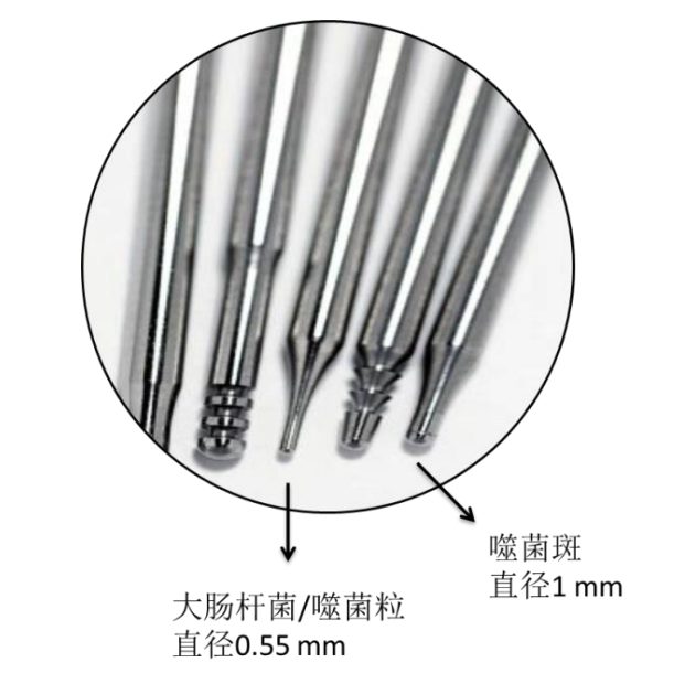 QPix 400 系统在噬菌体展示中的应用 - 知乎