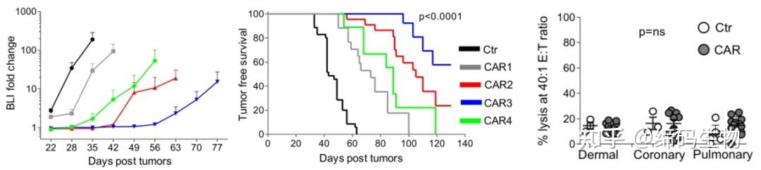 肿瘤免疫靶点 | CD138 - 知乎