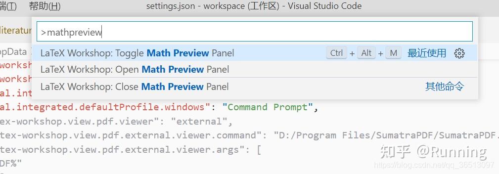 VScode中Latex公式预览 - 知乎