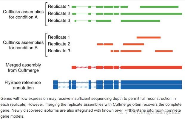Differential gene and transcript expression analysis of RNA-seq ...