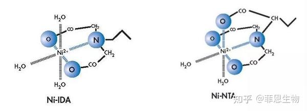 【技术分享】镍（Ni）柱纯化原理与使用方法 - 知乎