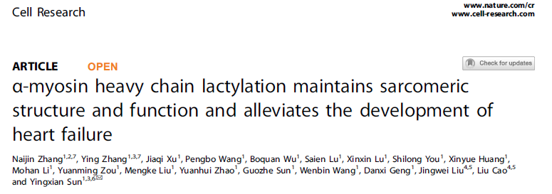 Cell Res | 乳酸化修饰组学揭示心力衰竭新机制及潜在治疗靶点 - 知乎