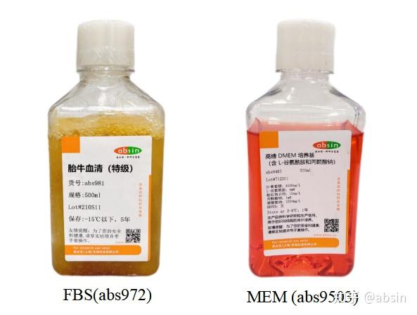 293T细胞培养攻略 - 知乎