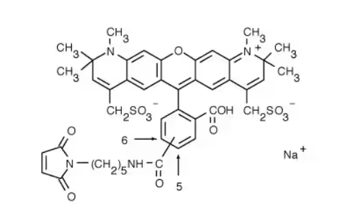 AF594-C5-Maleimide，AF594-C5-马来酰亚胺 AF594染料具有更亮的荧光和更高的光稳定性 - 知乎