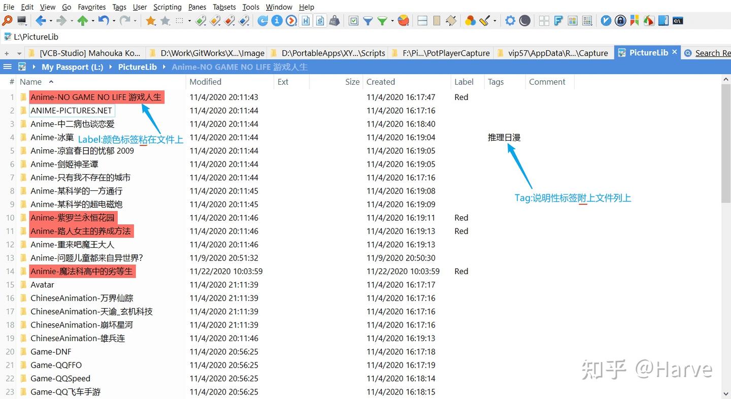 XYplorer标签集使用指南 - 知乎