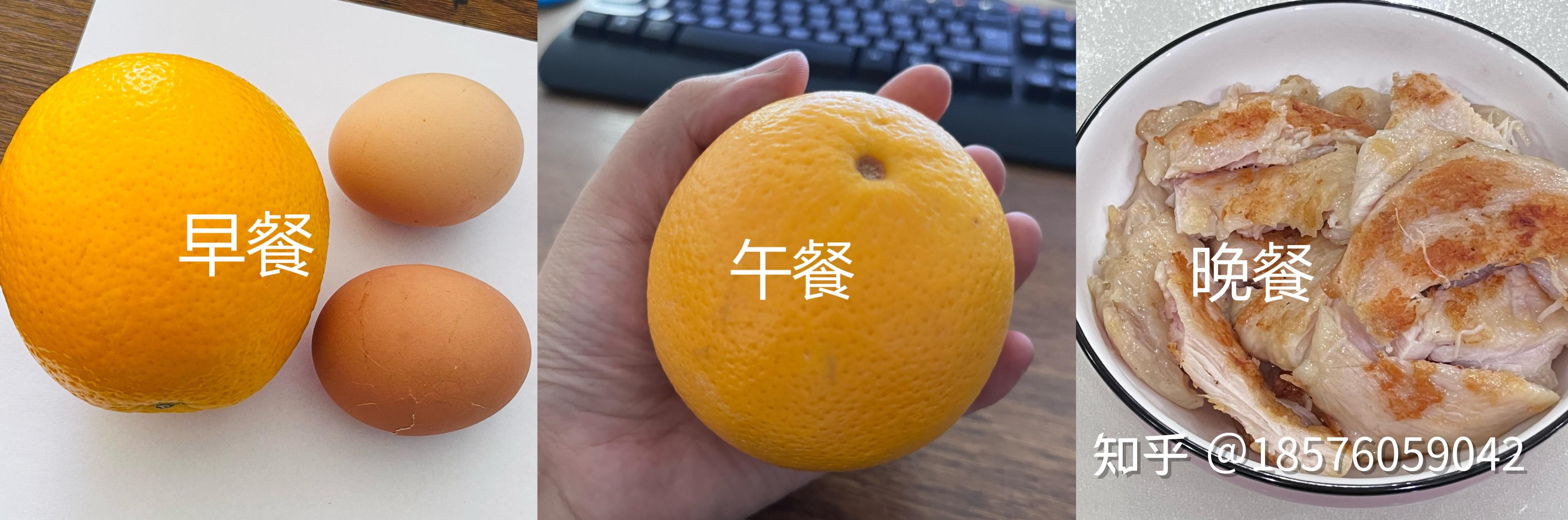 哈佛大学食谱osama Hamdy 博士28天减肥记录打卡 亲测（十天瘦了11斤！） 知乎