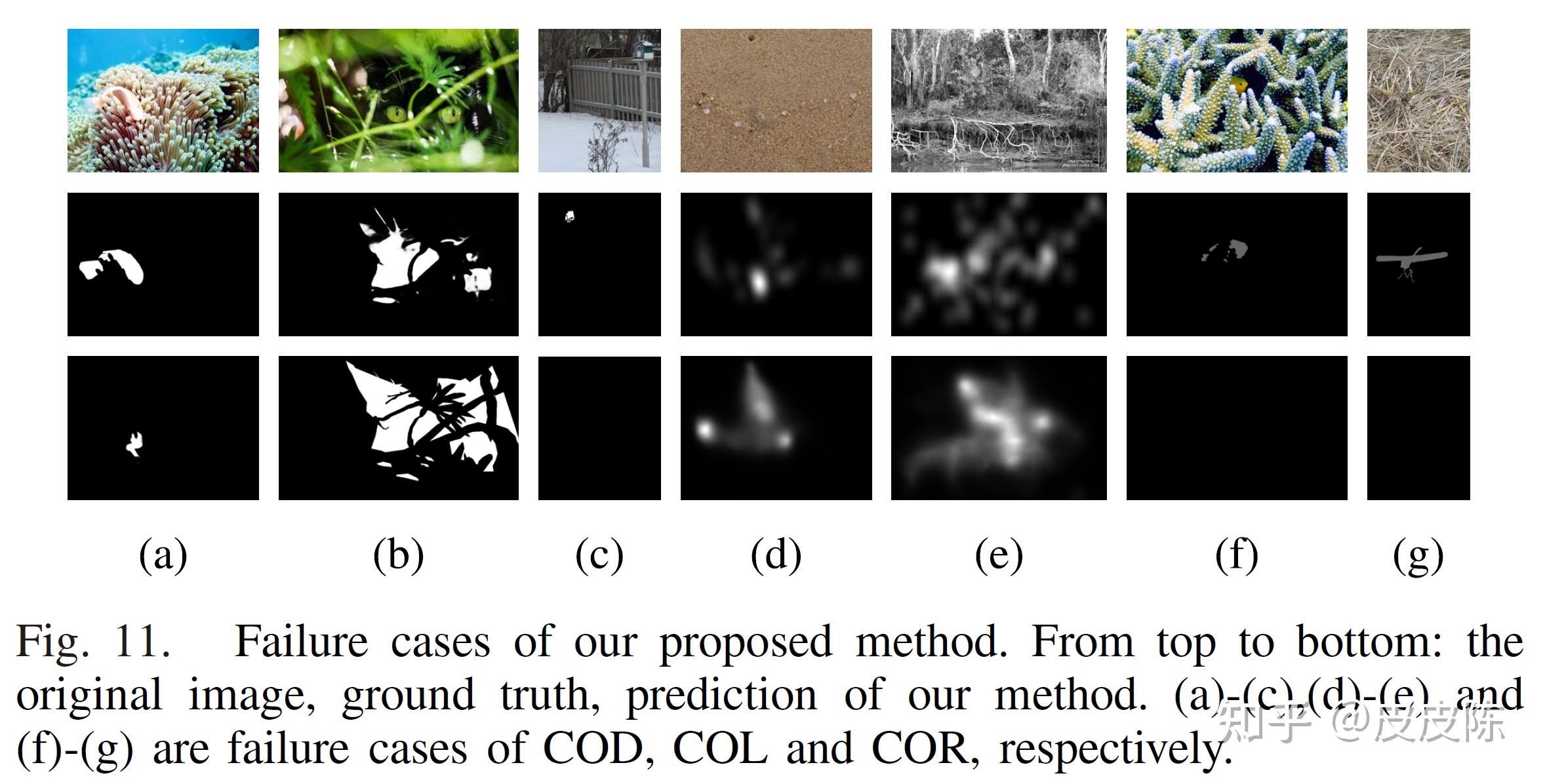 更深入地理解伪装目标检测andtoward Deeper Understanding Of Camouflaged Object