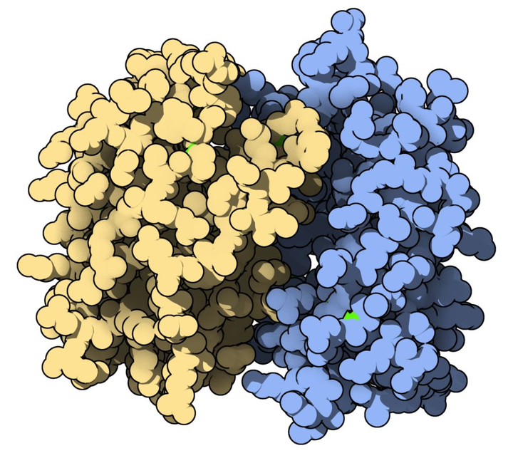 Bioinformatics | DeepRank-GNN:蛋白质-蛋白质界面的图神经网络框架 - 知乎