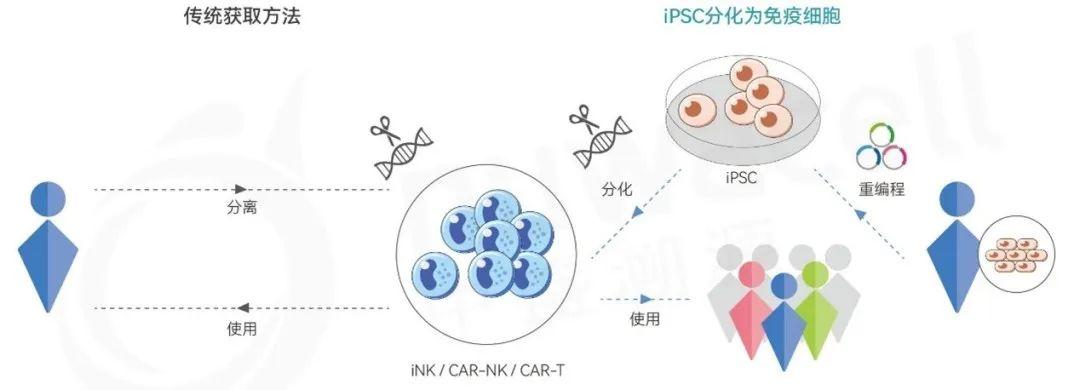 独家专访中盛溯源创始人俞君英博士：公司首款iPSC来源细胞药物获批国内IND背后 - 知乎