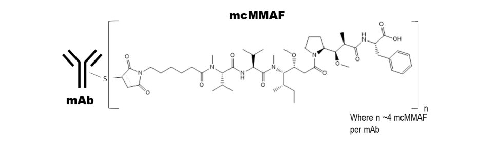 多发性骨髓瘤用药Blenrep（belantamab mafodotin）中文说明书|香港济民药业 - 知乎