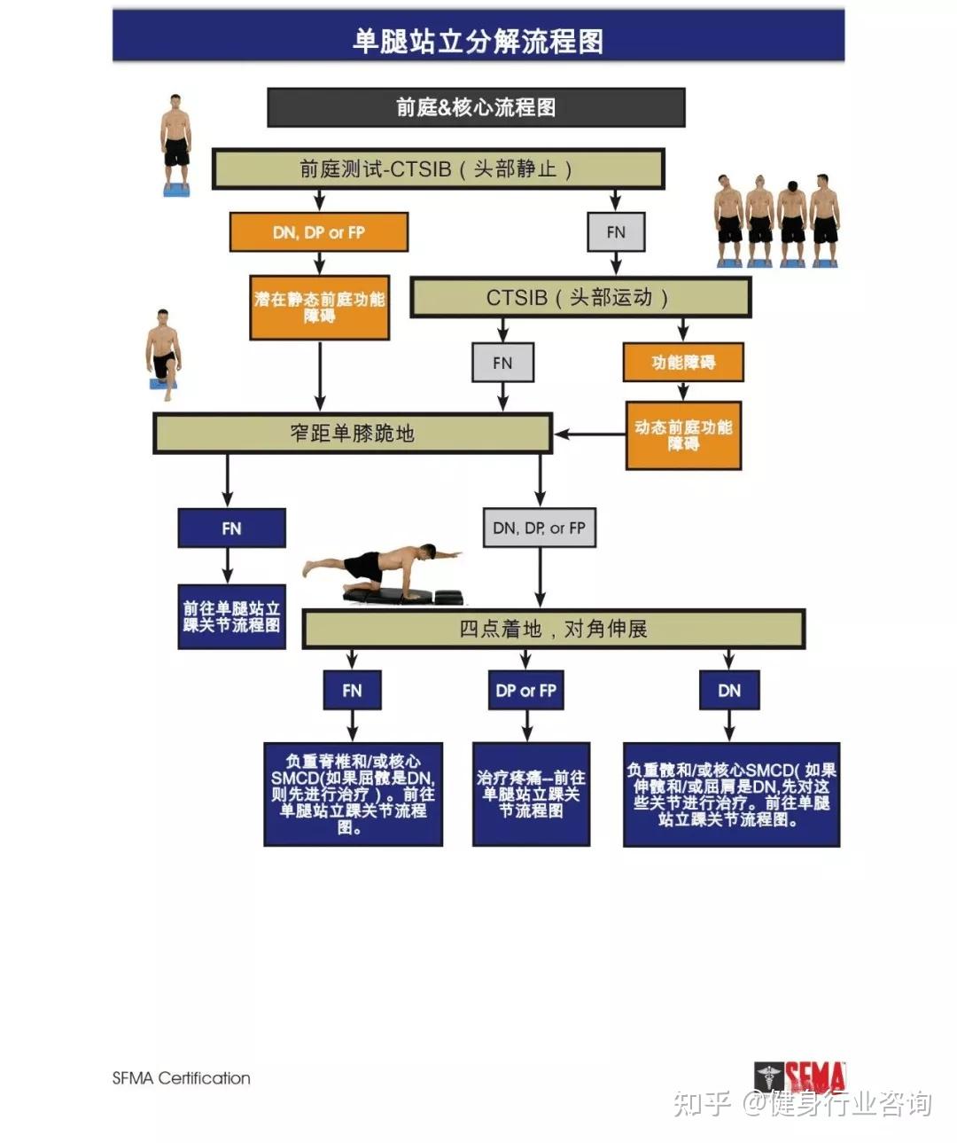 康复治疗师如何运用选择性功能动作评估SFMA（流程图）-康复治疗师和体能训练师必备技能 - 知乎