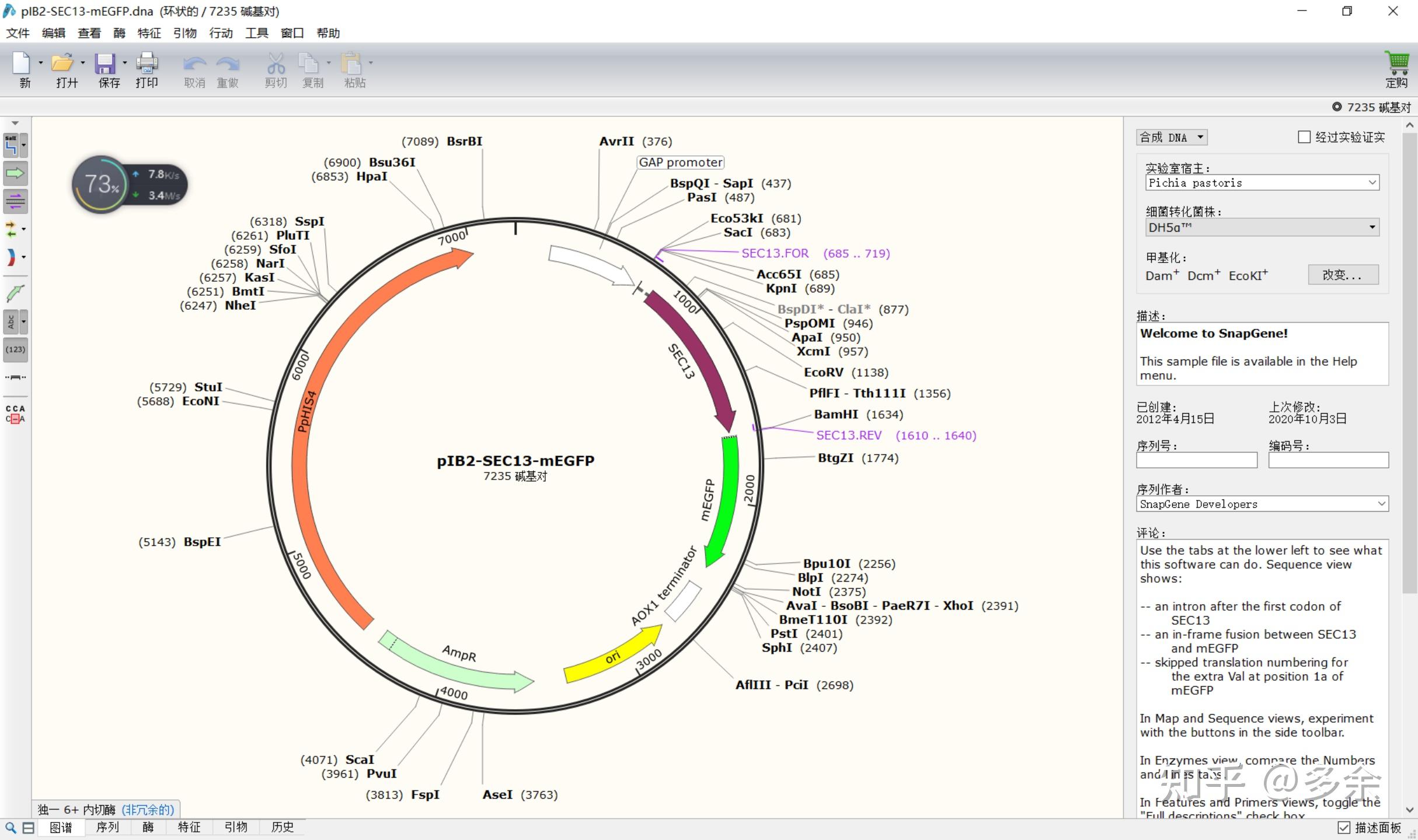 snapgene如何下载？ - 知乎