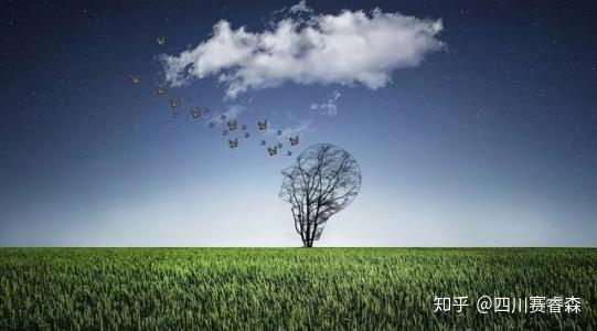 余生很贵,请别浪费 知乎