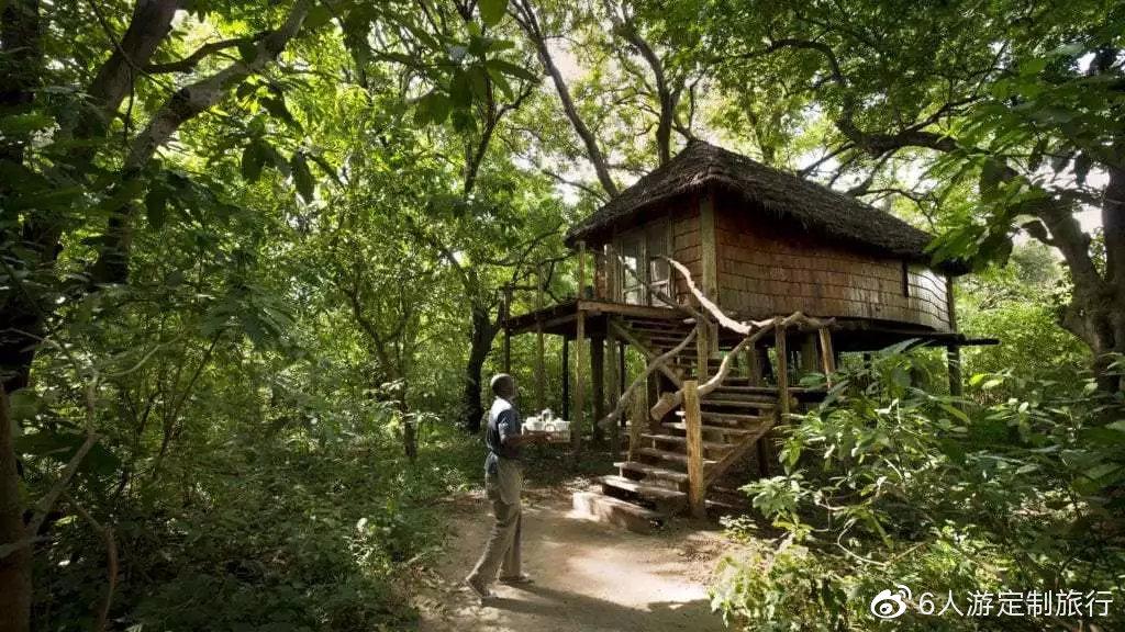 非洲 | 野奢鼻祖！睡在野生动物的栖息地，落日晚餐看非洲五霸 - 知乎