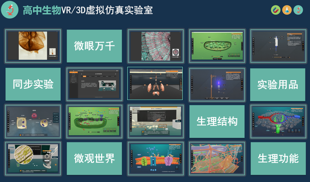 【高中理化生】矩道VR/3D虚拟仿真实验室 - 知乎