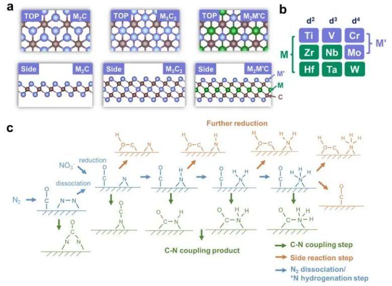 JACS:理论计算+机器学习Mxene上C-N电偶联反应活性和/选择性路线 - 知乎