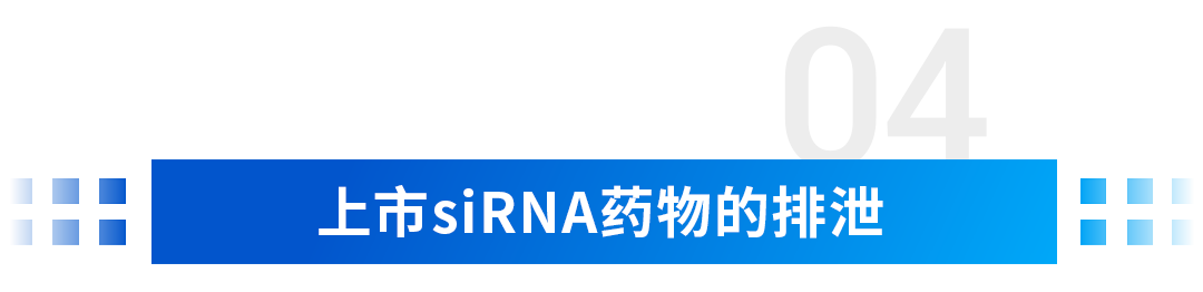 DMPK系列 | 上市siRNA药物ADME研究概况及数据解读 - 知乎