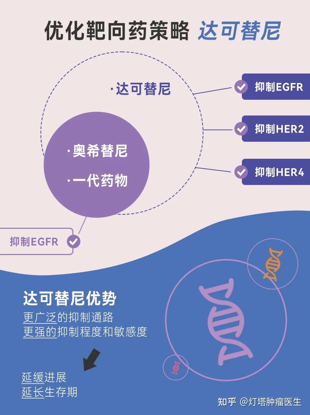 EGFR 21 L858R突变晚期非小细胞肺癌患者精准治疗方案的选择 - 知乎