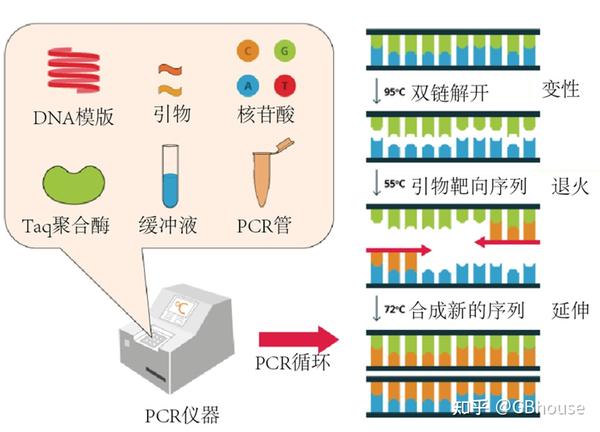 带你了解PCR、Real-Time PCR、RT-PCR、qRT-PCR你知道或者不知道的信息 - 知乎