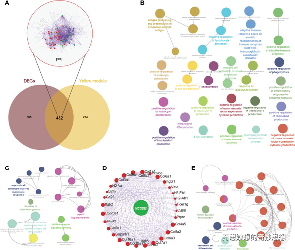 单细胞和bulk RNA测序的联合分析，揭示了脊髓损伤中的免疫浸润和靶向治疗药物 - 知乎