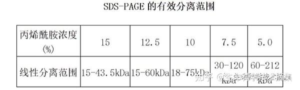 SDS-PAGE检测蛋白纯度和分子量protocol - 知乎