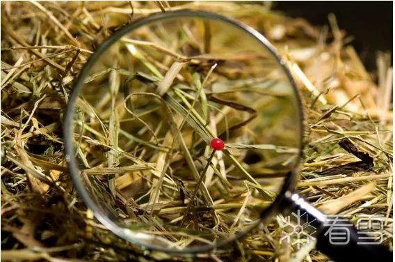 libFuzzer使用总结教程 - 知乎