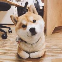 Java中的File.separator用法 - 知乎