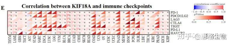 KIF18A 作为预后和免疫标志物的综合泛癌症分析 - 知乎