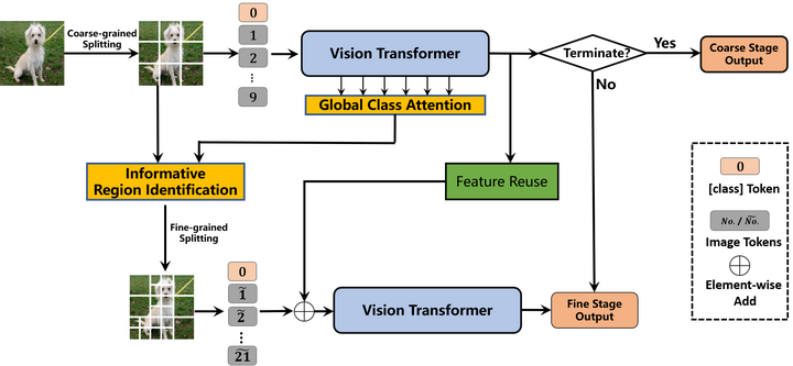 AAAI 2023 | CF-ViT：由粗到细的两阶段动态推理架构 - 知乎