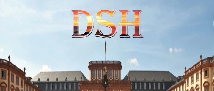 学员DSH 2心得（附DSH考试介绍信息） - 知乎