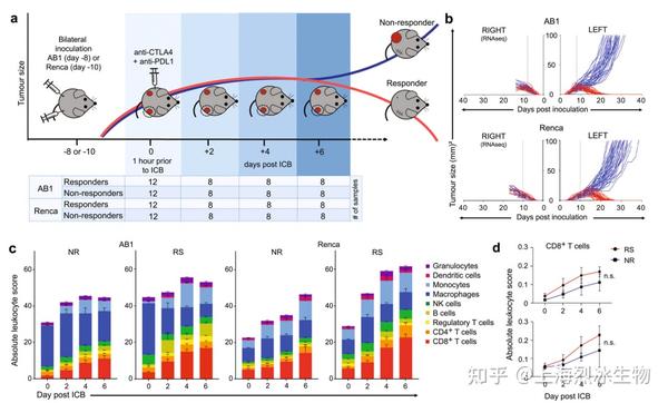 【文献解读】单细胞技术助力阐明免疫检查点阻断（ICB）机制 - 知乎