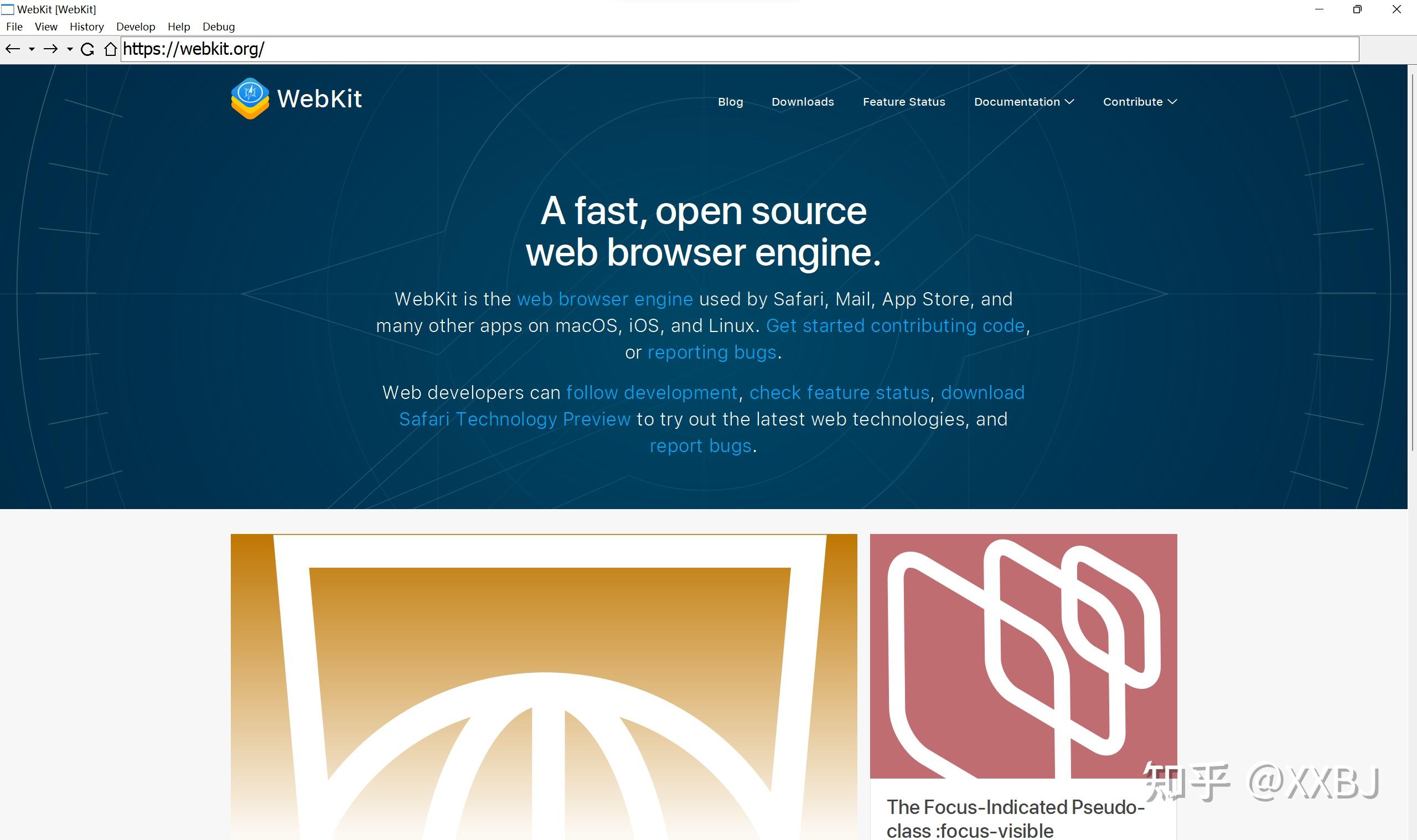 怎样自行开发一个 WebKit 内核的浏览器？ - 知乎