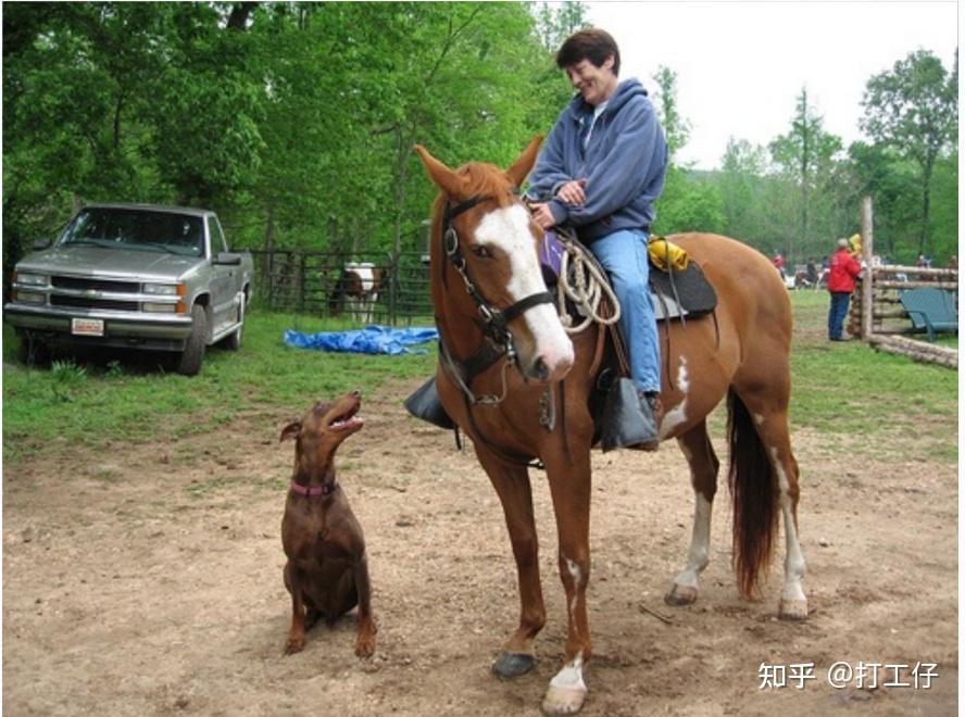 Qt工具集成模型部署（ONNXRunTime+openvino）之UI设计篇 - 知乎