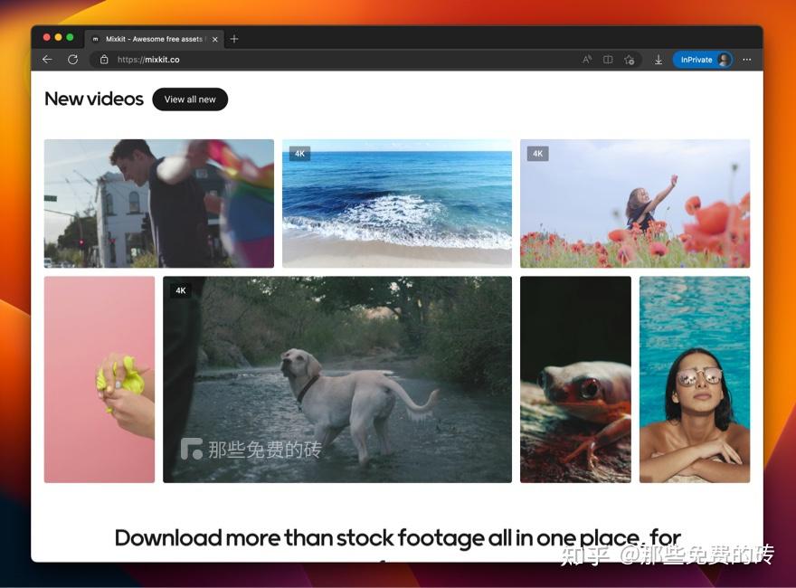 Mixkit - 质量超高的视频素材、AE/PR 模板下载网站，下载完全免费且可商用 - 知乎