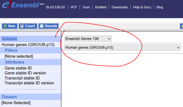 Ensemble官网BioMart及R语言biomaRt包获取人鼠同源基因 - 知乎