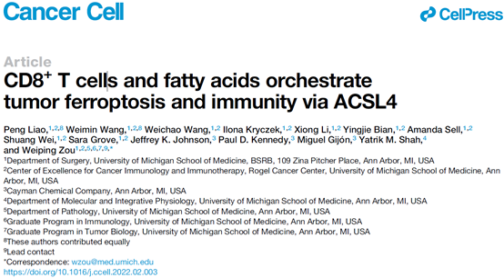 【Cancer Cell】邹伟平团队揭示CD8+T细胞和脂肪酸通过ACSL4协同肿瘤铁死亡和免疫 - 知乎