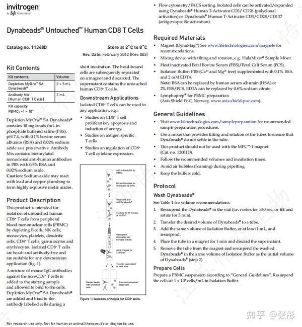 CD8+T细胞提取激活方法||附OT1小鼠介绍及order - 知乎