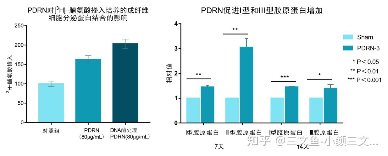 PDRN功效解读之抗衰老 - 知乎