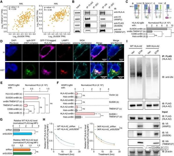 Cell | 纽约大学王俊教授揭示癌症免疫逃避机制，为冷肿瘤治疗提供新的思路和靶点 - 知乎