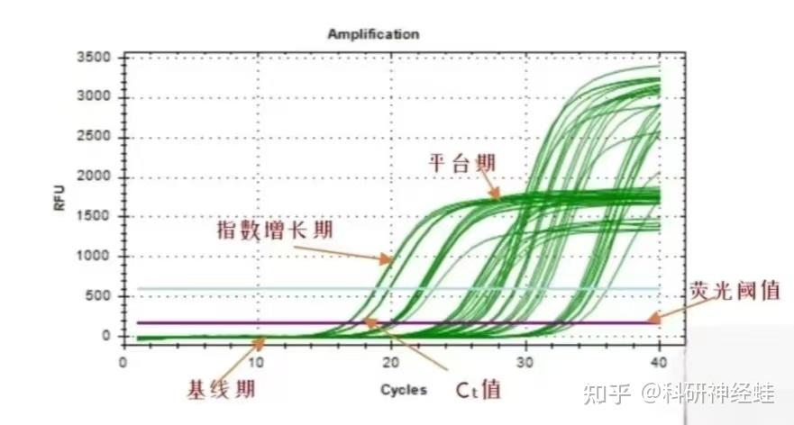 miRNA-qPCR检测———实验全解析 - 知乎
