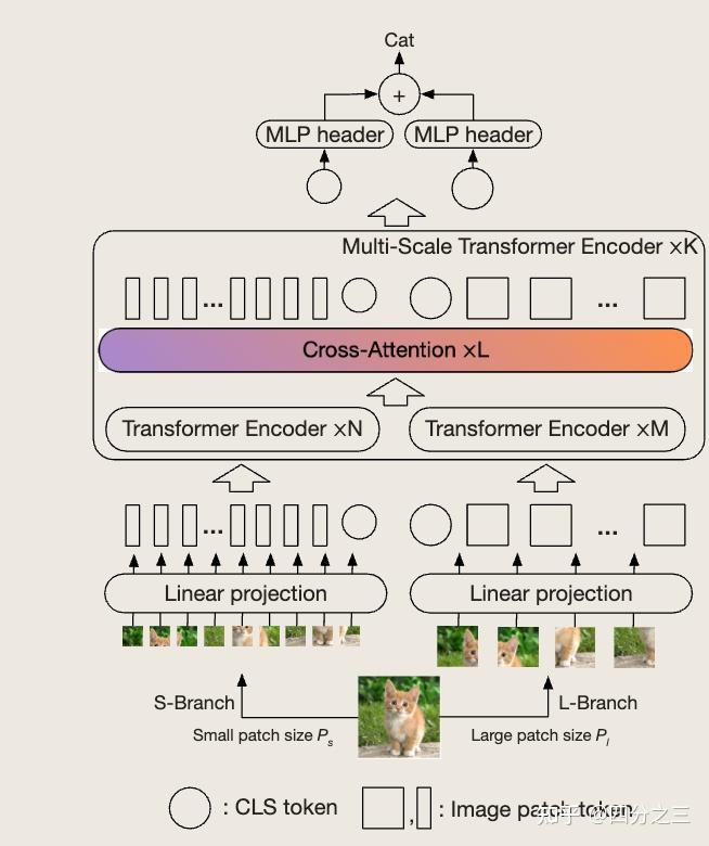 《CrossViT: Cross-Attention Multi-Scale Vision Transformer for Image ...