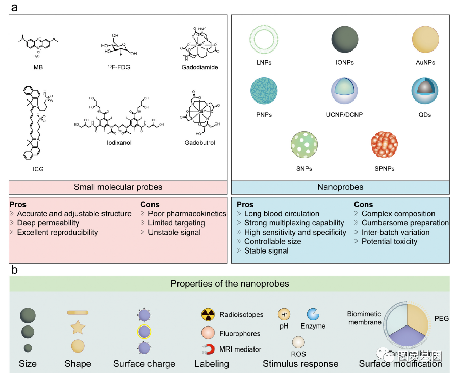 Che Soc Rev |北京大学应用纳米探针分子成像于肿瘤患者分层 - 知乎