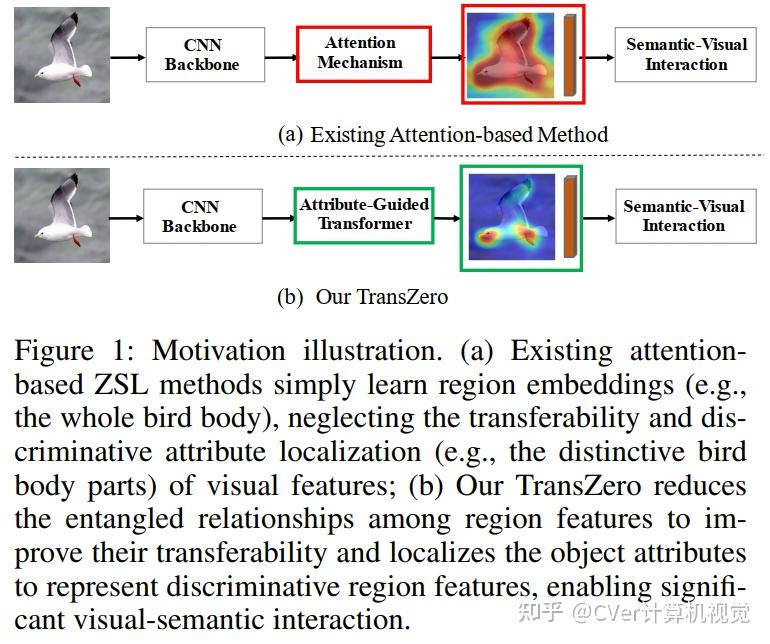 AAAI 2022 | TransZero：用于零样本学习的属性引导Transformer - 知乎