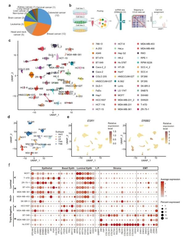 Nat. Commu. | 单细胞多组学图谱揭示人类癌症细胞系转录组和表观遗传异质性 - 知乎