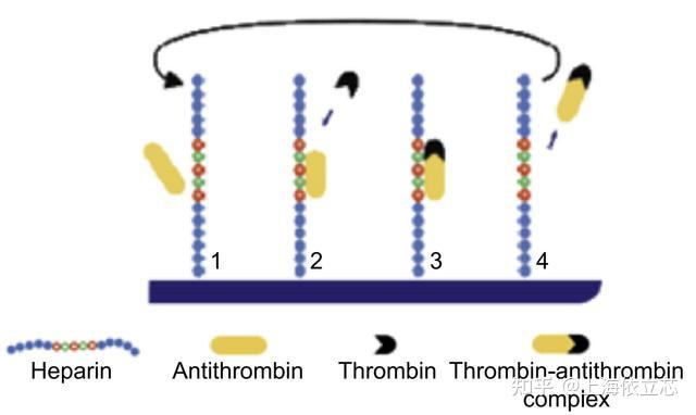 膨体聚四氟乙烯（ePTFE）在医疗器械领域的应用 - 知乎