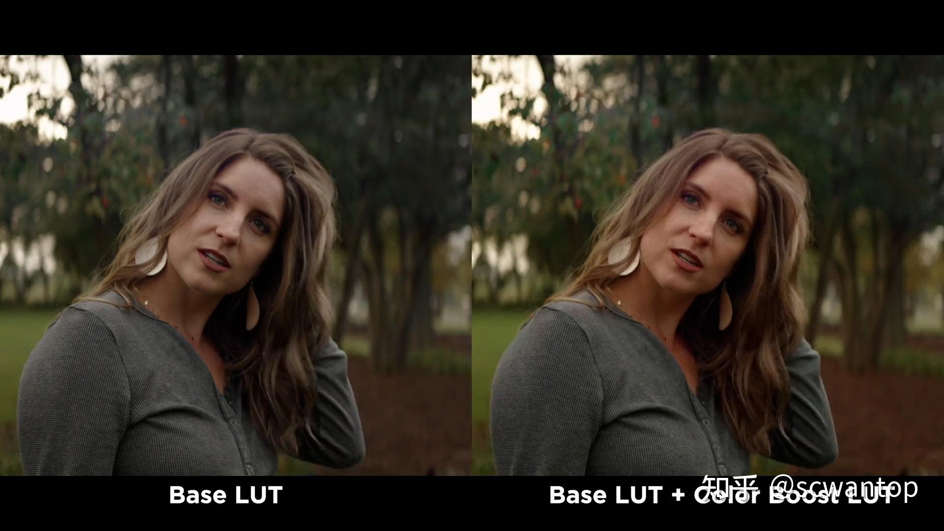 热门索尼S-LOG3色彩还原、假色、风格化电影制片人色彩分级LUTs调色预设 Sony S-Log3 Pike LUT Pack – DSLR Video Shooter - 知乎